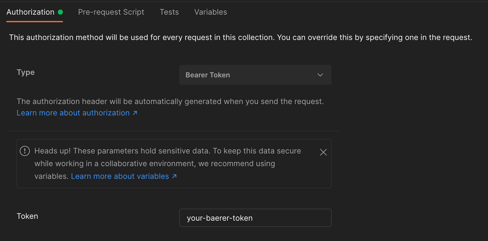 How to use API Authentication in Directus
