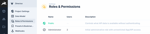 Everything you need to know about Directus Roles